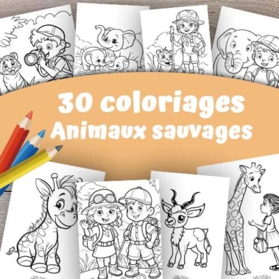 Pack 30 coloriages des animaux sauvages - Sophie Ardouin Animations